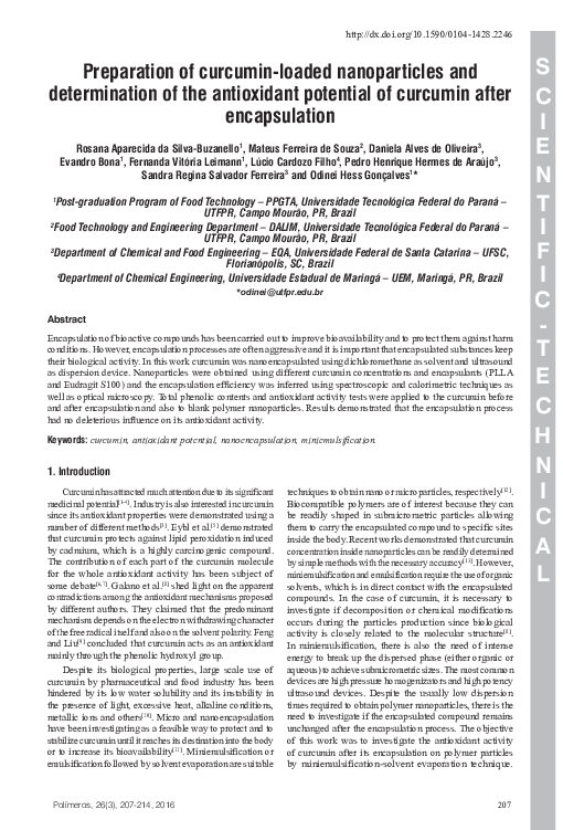(PDF) Preparation of curcumin-loaded nanoparticles and determination of the antioxidant ...