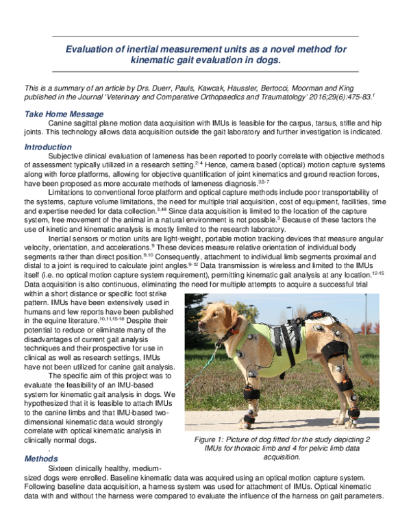 (PDF) Evaluation of inertial measurement units as a novel method for kinematic gait evaluation ...