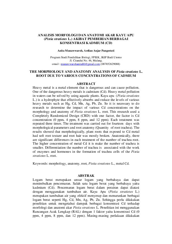 (PDF) ANALISIS MORFOLOGI DAN ANATOMI AKAR KAYU APU (Pistia stratiotes L ...