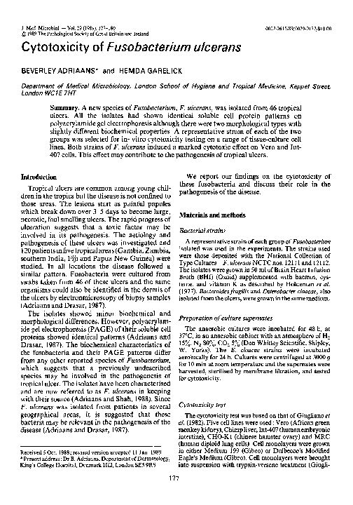 (PDF) Cytotoxicity of Fusobacterium ulcerans | Beverley Adriaans - Academia.edu
