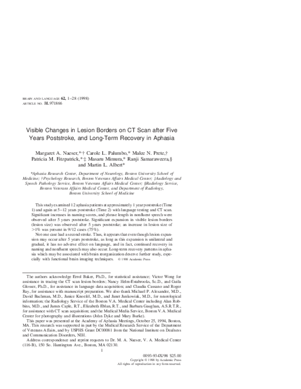 (PDF) Visible Changes in Lesion Borders on CT Scan after Five Years ...