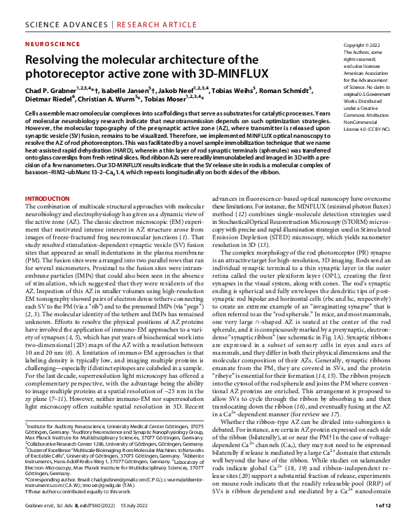 (PDF) Resolving the molecular architecture of the photoreceptor active ...