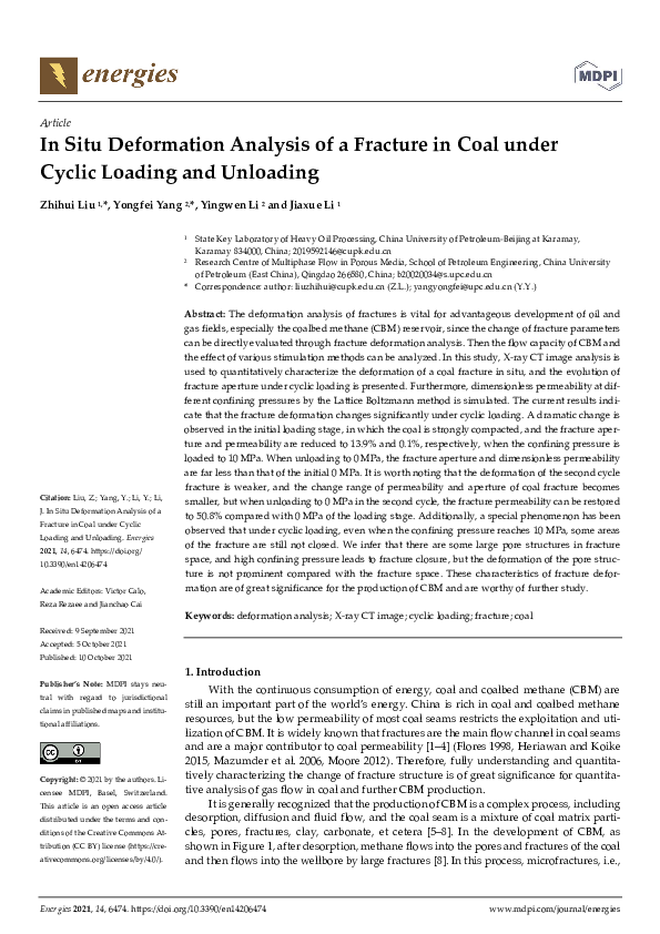 (PDF) In Situ Deformation Analysis of a Fracture in Coal under Cyclic ...