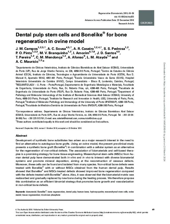 (PDF) Dental pulp stem cells and Bonelike® for bone regeneration in ...