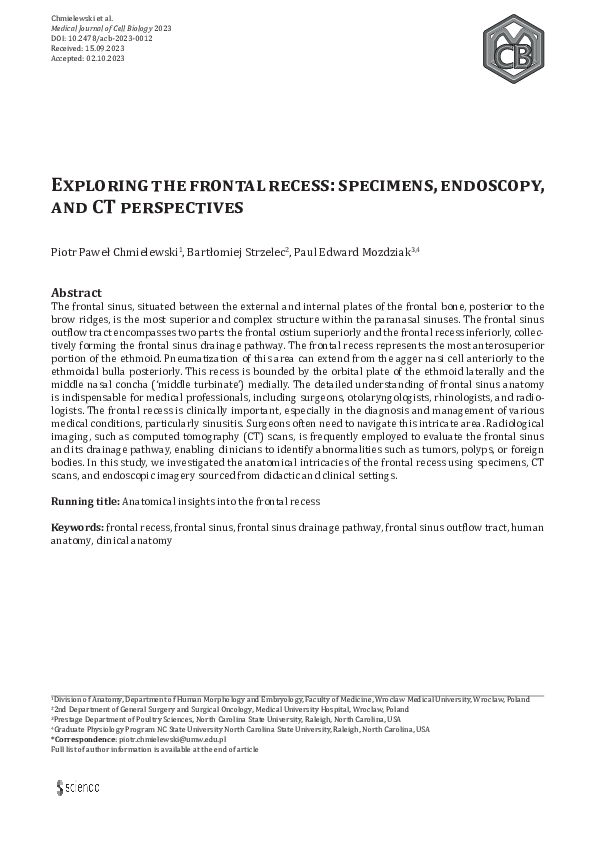 (PDF) Exploring the Frontal Recess: Specimens, Endoscopy, and CT ...
