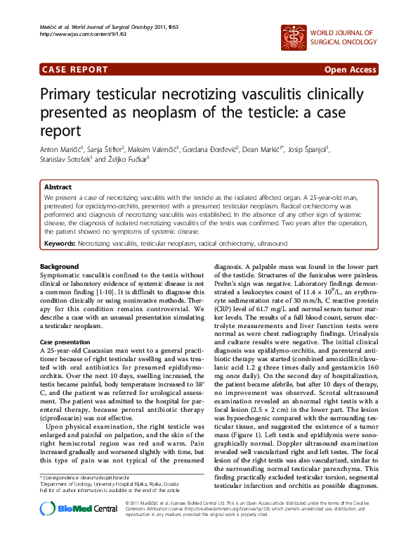 (PDF) Primary testicular necrotizing vasculitis clinically presented as ...