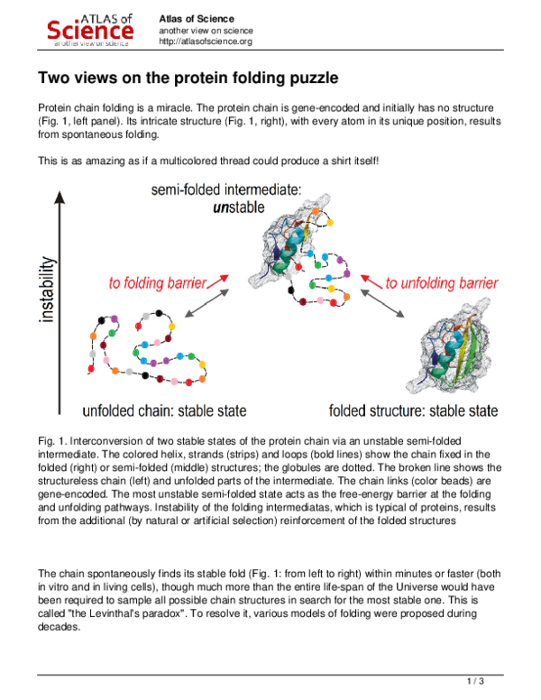 (PDF) Two Views on the Protein Folding Puzzle