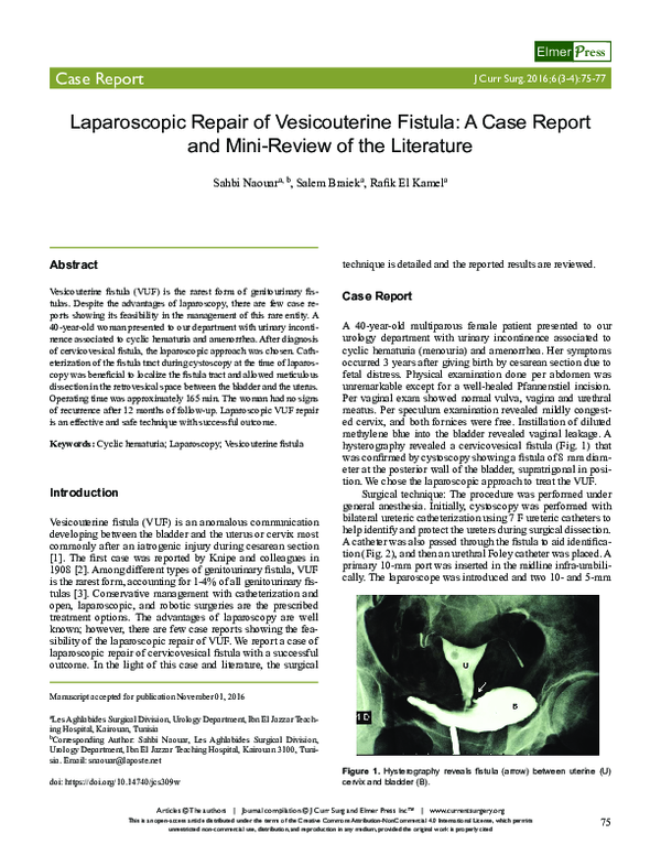 (PDF) Laparoscopic Repair of Vesicouterine Fistula: A Case Report and ...