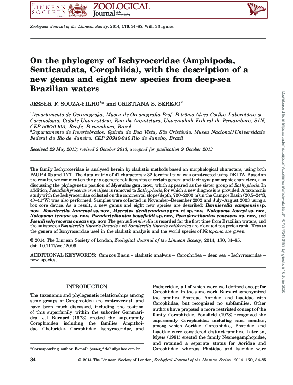 (PDF) On the phylogeny of Ischyroceridae (Amphipoda, Senticaudata ...