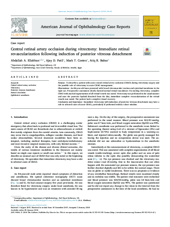 (PDF) Central retinal artery occlusion during vitrectomy: Immediate ...
