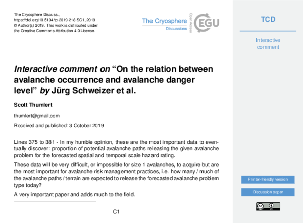 (PDF) Avalanche Risk Management