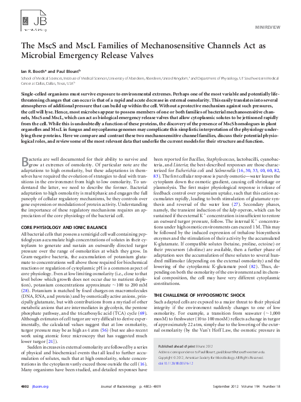 (PDF) The MscS and MscL Families of Mechanosensitive Channels Act as Microbial Emergency Release ...