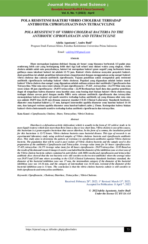 (PDF) Pola Resistency of Vibrio Cholerae Bacteria to the Antibiotic ...
