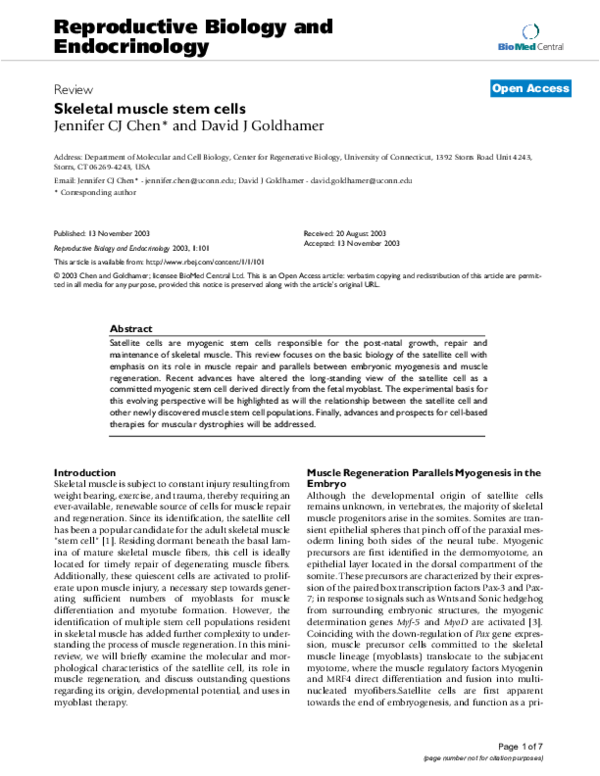 (PDF) Skeletal muscle stem cells