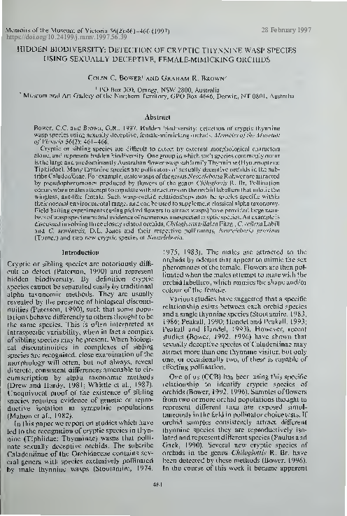 (PDF) Hidden biodiversity: detection of cryptic thynnine wasp species ...