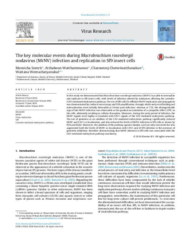 (PDF) The key molecular events during Macrobrachium rosenbergii ...