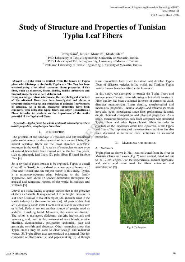 (PDF) Study of Structure and Properties of Tunisian Typha Leaf Fibers