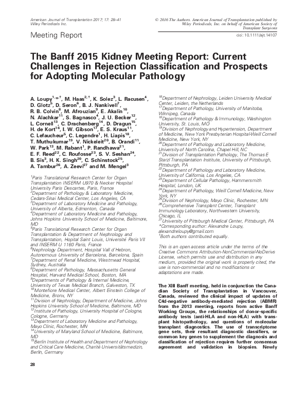 (PDF) The Banff 2015 Kidney Meeting Report: Current Challenges in ...