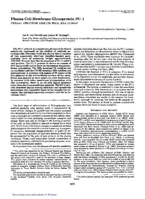 (PDF) Plasma cell membrane glycoprotein PC-1. Primary structure deduced ...
