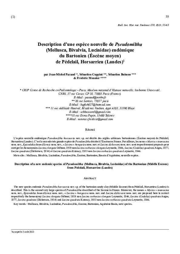 (PDF) Description d’une espèce nouvelle de Pseudomiltha (Mollusca ...