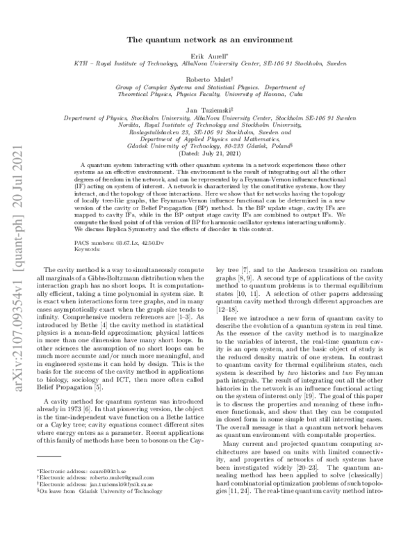 (PDF) The quantum network as an environment