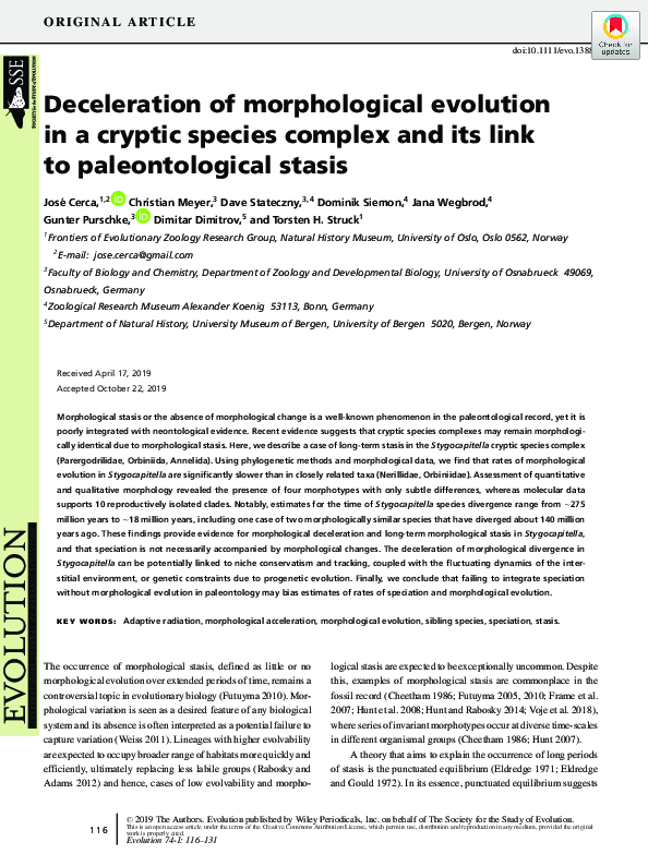 (PDF) Deceleration of morphological evolution in a cryptic species ...