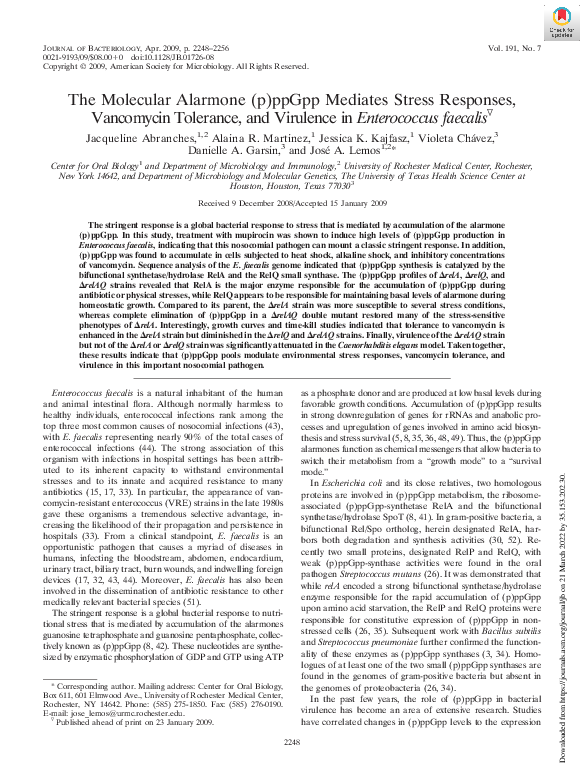 (PDF) The Molecular Alarmone (p)ppGpp Mediates Stress Responses ...