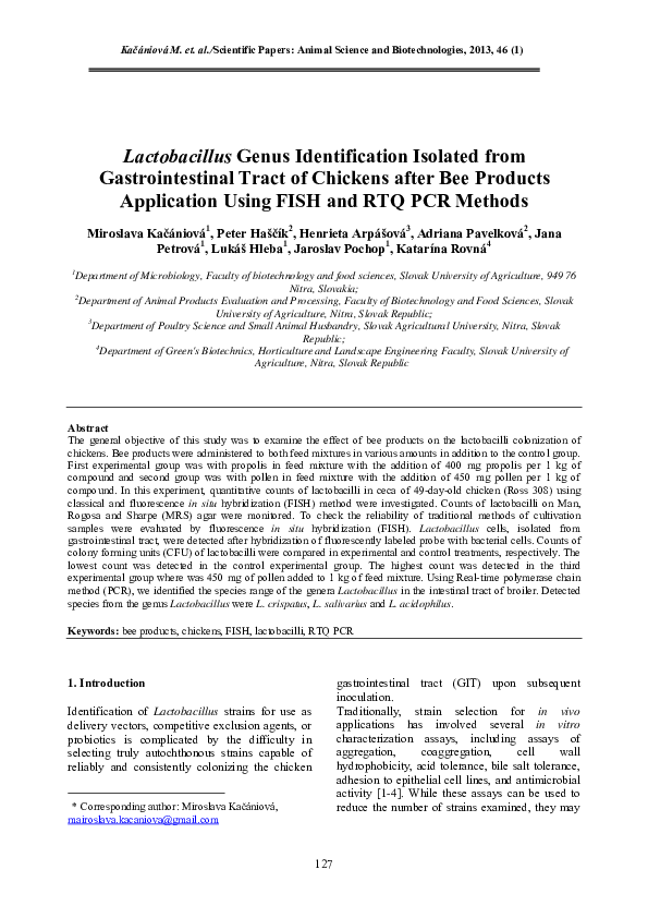 (PDF) Lactobacillus genus identification isolated from gastrointestinal ...