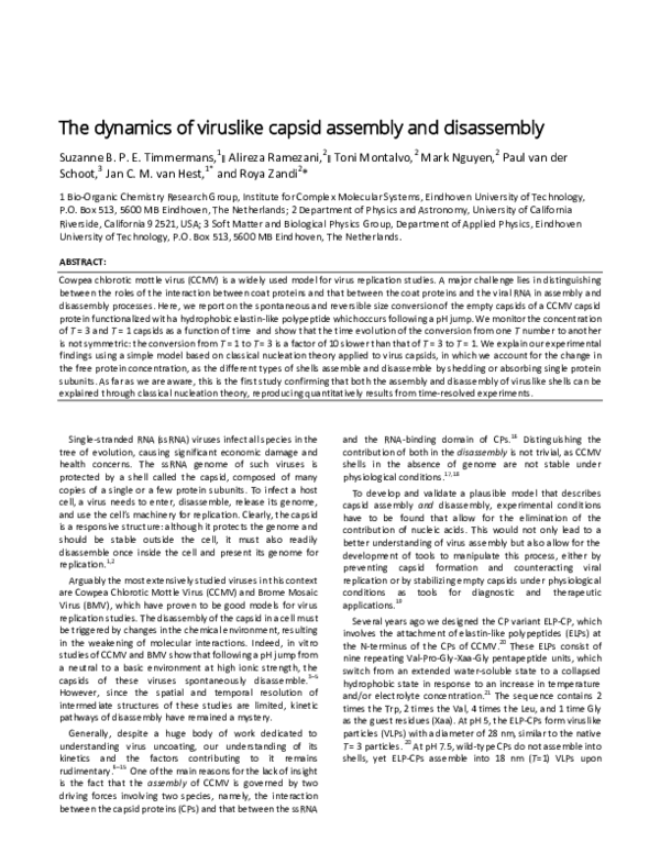 (PDF) The Dynamics of Viruslike Capsid Assembly and Disassembly