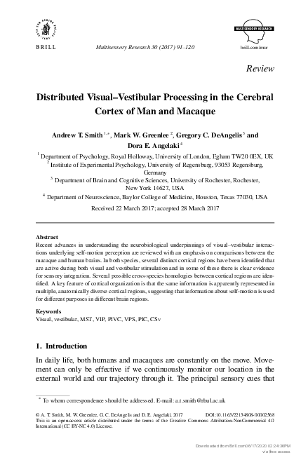 (PDF) Distributed Visual–Vestibular Processing in the Cerebral Cortex of Man and Macaque