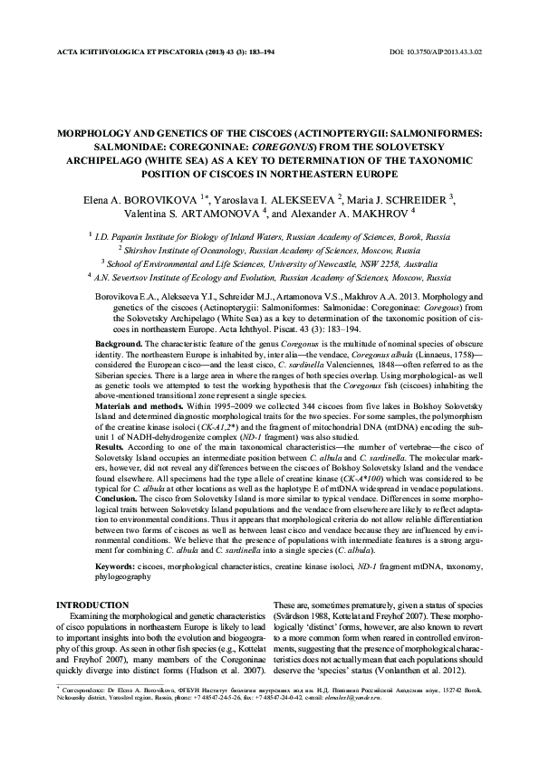 (PDF) Morphology and Genetics of the Ciscoes (Actinopterygii ...