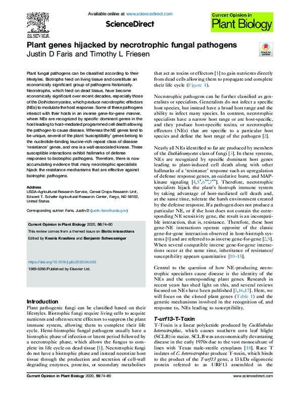(PDF) Plant genes hijacked by necrotrophic fungal pathogens