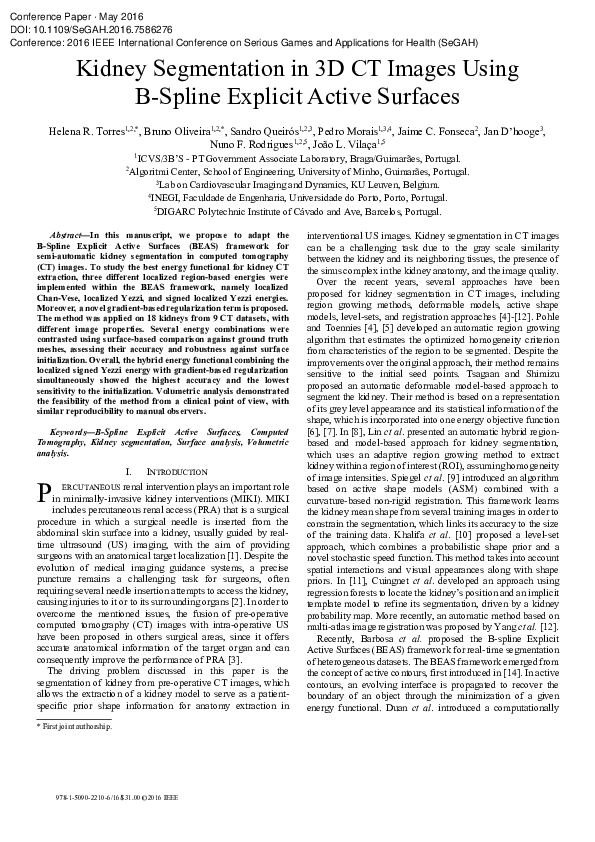 (PDF) Kidney segmentation in 3D CT images using B-Spline Explicit Active Surfaces