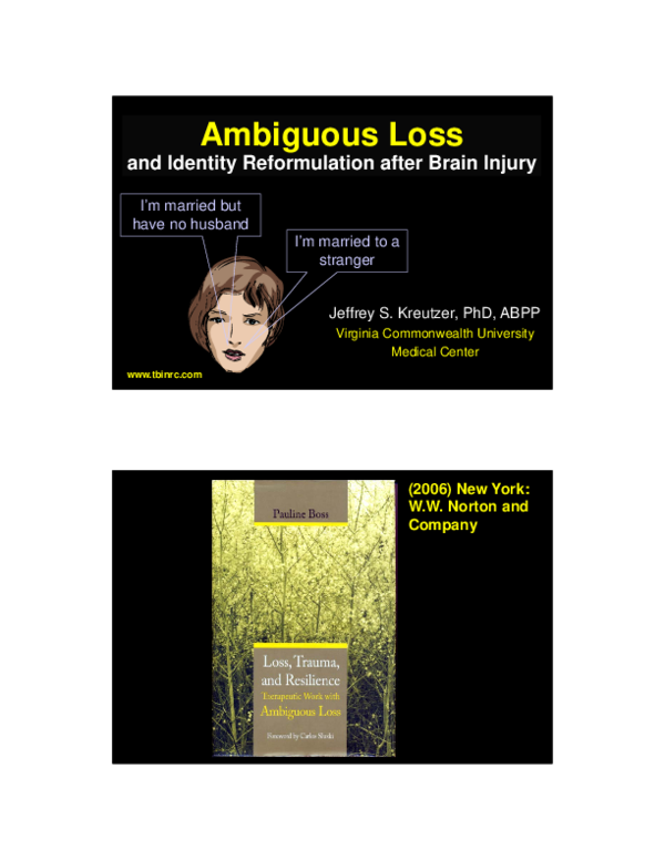 (PDF) Ambiguous Loss