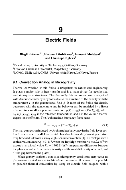 (PDF) Electric Fields