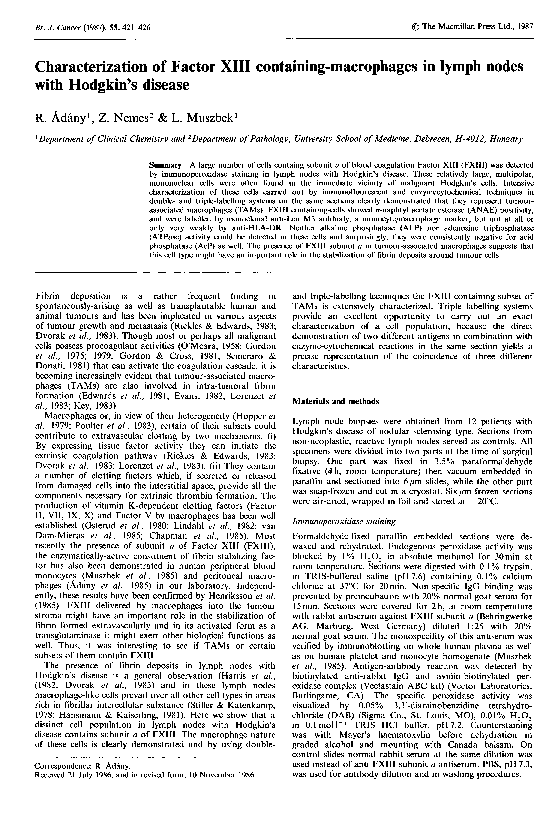 (PDF) Characterization of factor XIII containing-macrophages in lymph ...