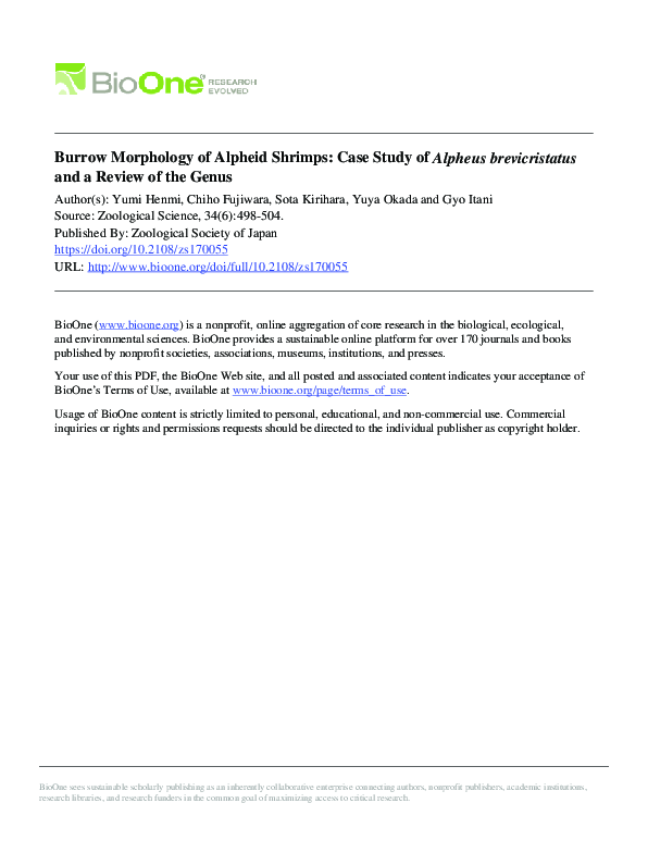 (PDF) Burrow Morphology of Alpheid Shrimps: Case Study ofAlpheus ...