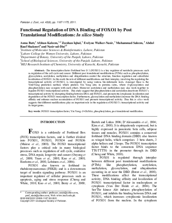 Pdf Functional Regulation Of Dna Binding Of Foxo1 By Post Translational Modifications In