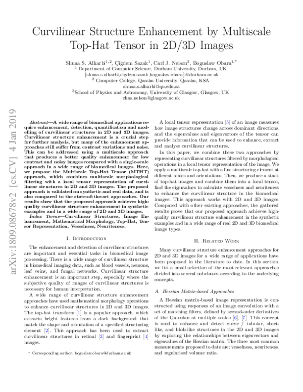 (PDF) Curvilinear Structure Enhancement by Multiscale Top-Hat Tensor in 2D/3D Images