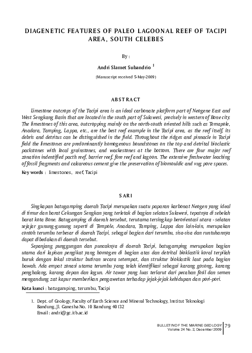 (PDF) Diagenetic Features of Paleo Lagoonal Reef of Tacipi Area, South ...