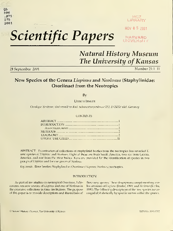 (PDF) New species of the genera Lispinus and Neolosus (Staphylinidae ...