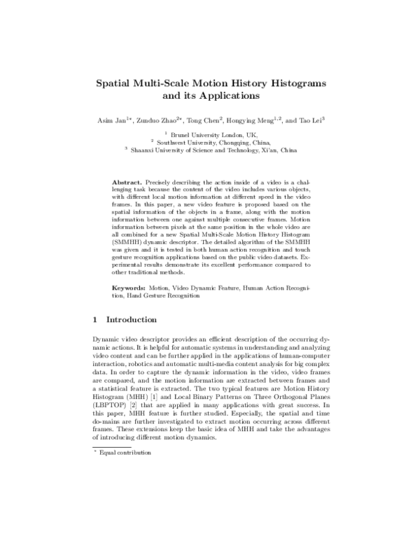 Spatial Multi-scale Motion History Histograms and Its Applications