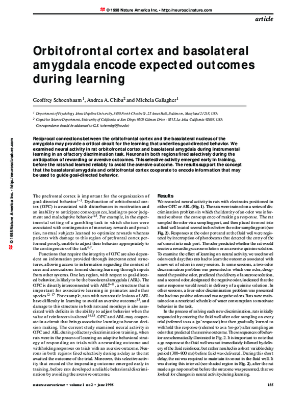 (PDF) Orbitofrontal cortex and basolateral amygdala encode expected outcomes during learning