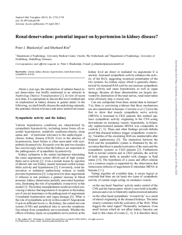 (PDF) Renal denervation: potential impact on hypertension in kidney ...