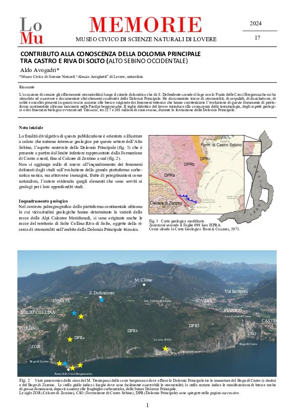 (PDF) MEMORIE 17 DOLOMIA PRINCIPALE