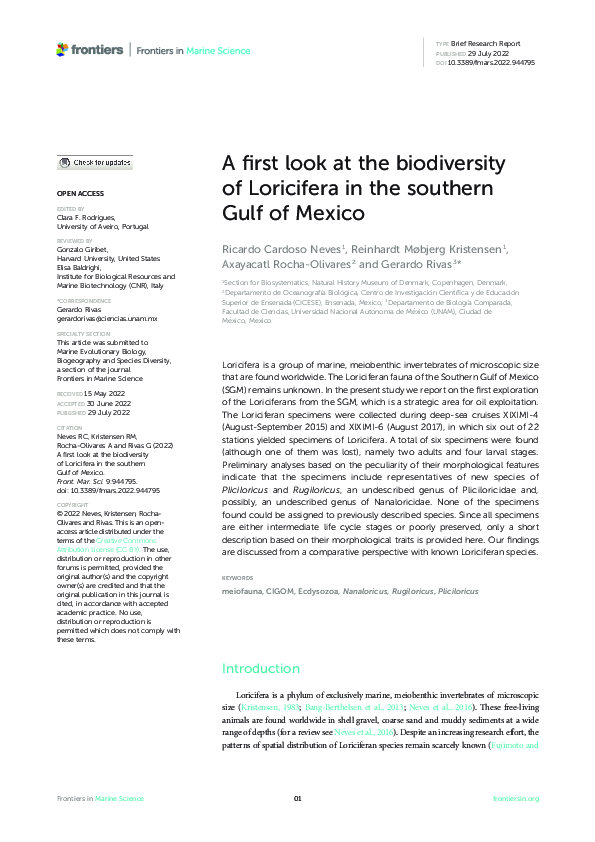 (PDF) A first look at the biodiversity of Loricifera in the southern ...