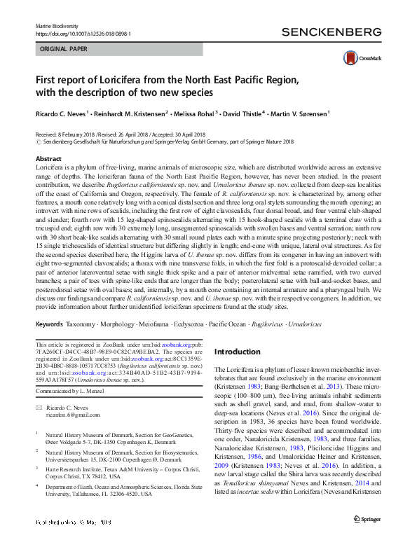 (PDF) First report of Loricifera from the North East Pacific Region ...