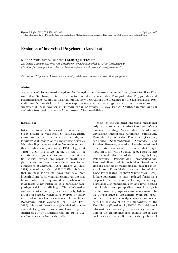 (PDF) Evolution of interstitial Polychaeta (Annelida)