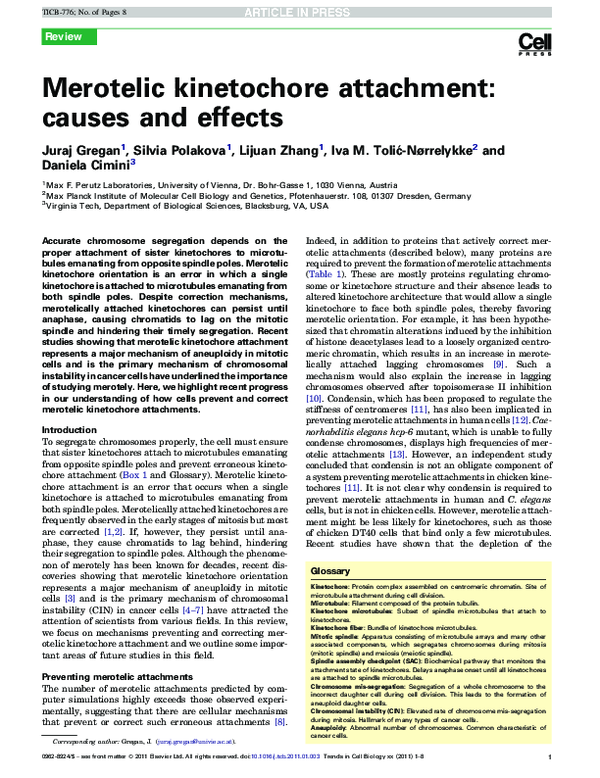 (PDF) Merotelic kinetochore attachment: causes and effects