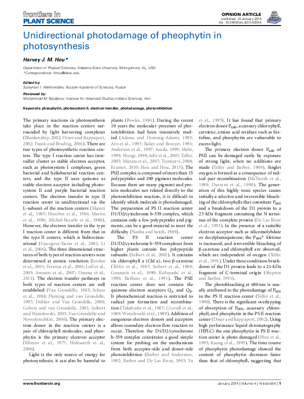 (PDF) Unidirectional photodamage of pheophytin in photosynthesis